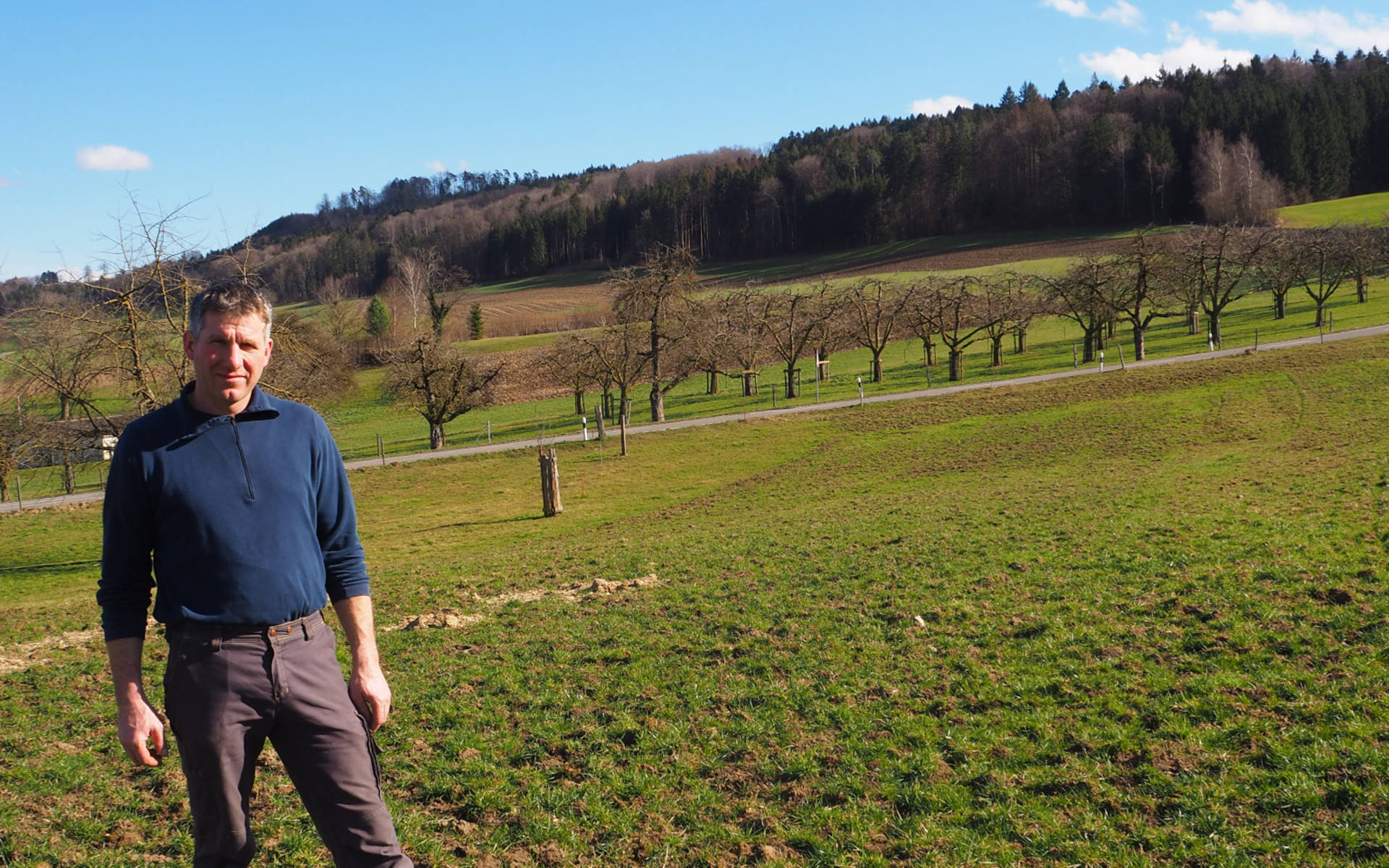 Fromentalwiese aus regionalem Saatgut in Bornhausen | Pro Natura Thurgau
